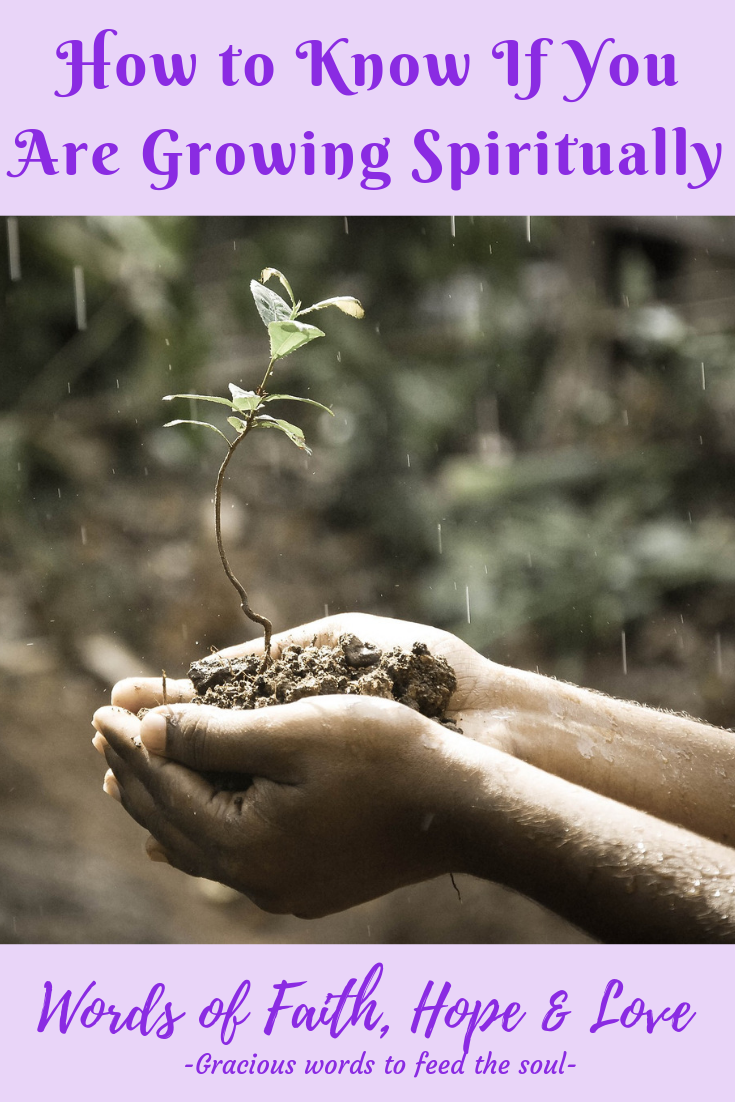 How to Know If You Are Growing Spiritually | Holy Sojourners
